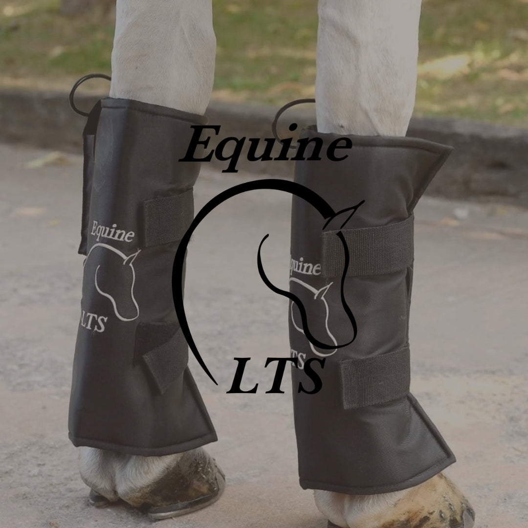 Equine LTS » Innovative LED-Therapieprodukte für Pferde – animondo.dk